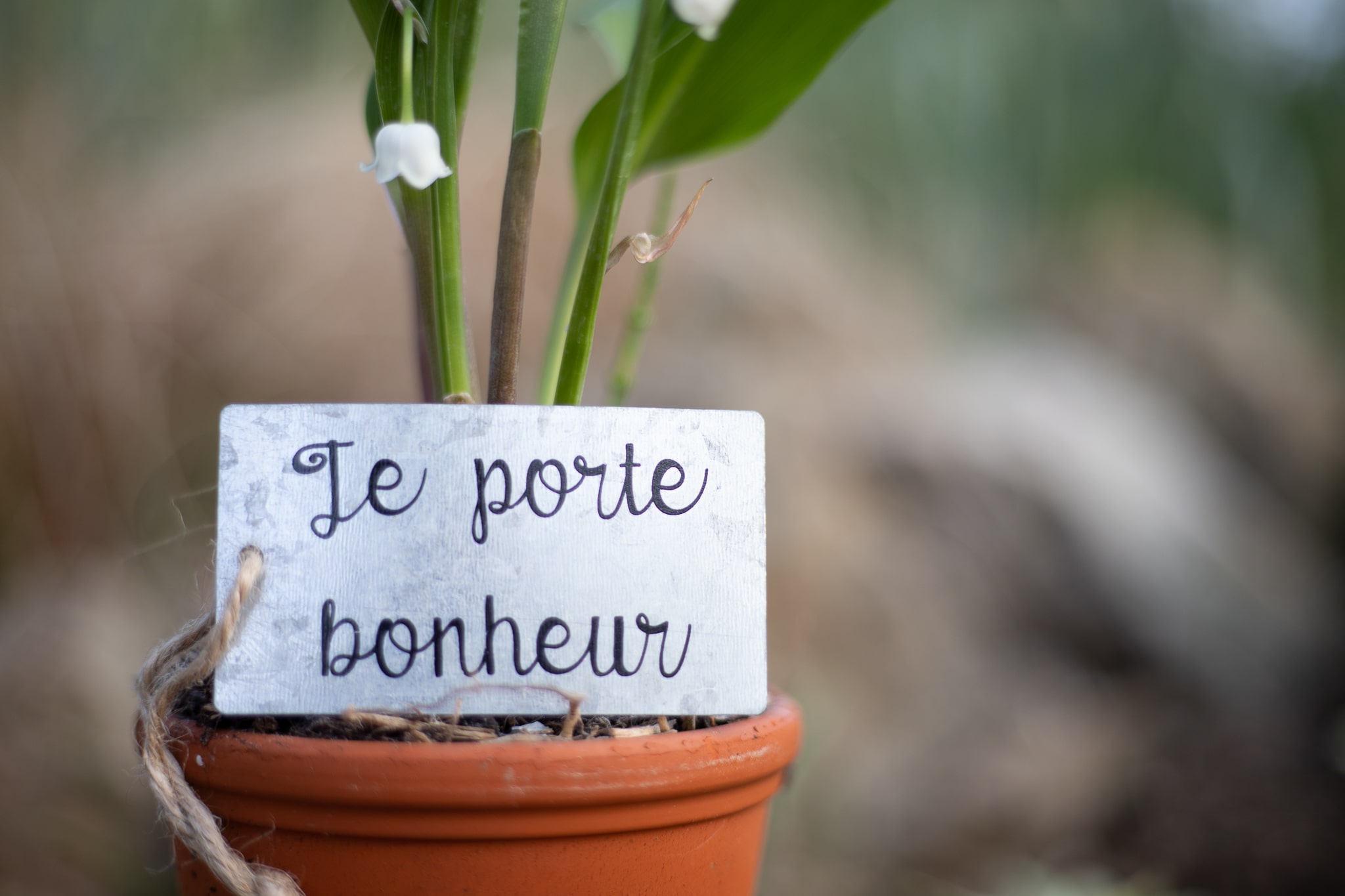 Porte bonheur - La Vie en Roses